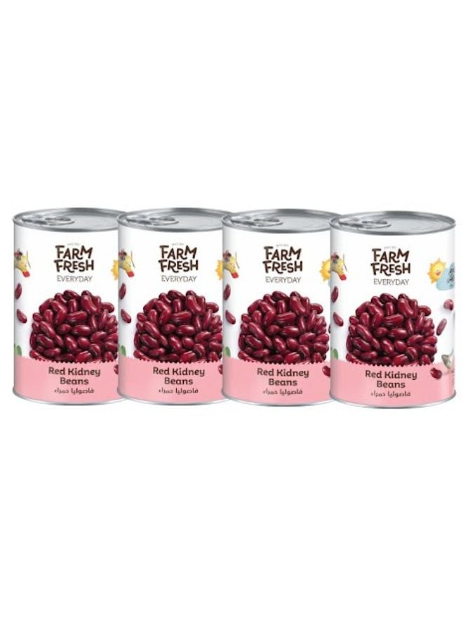 Farm Fresh Red Kidney Beans 4 x 400g | Best Price UAE | Dubai, Abu Dhabi