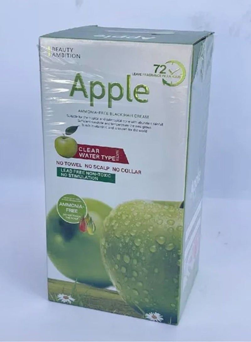 BEAUTY AMBITION Apple Ammonia Free Black Hair Cream 1000ml | Best Price ...