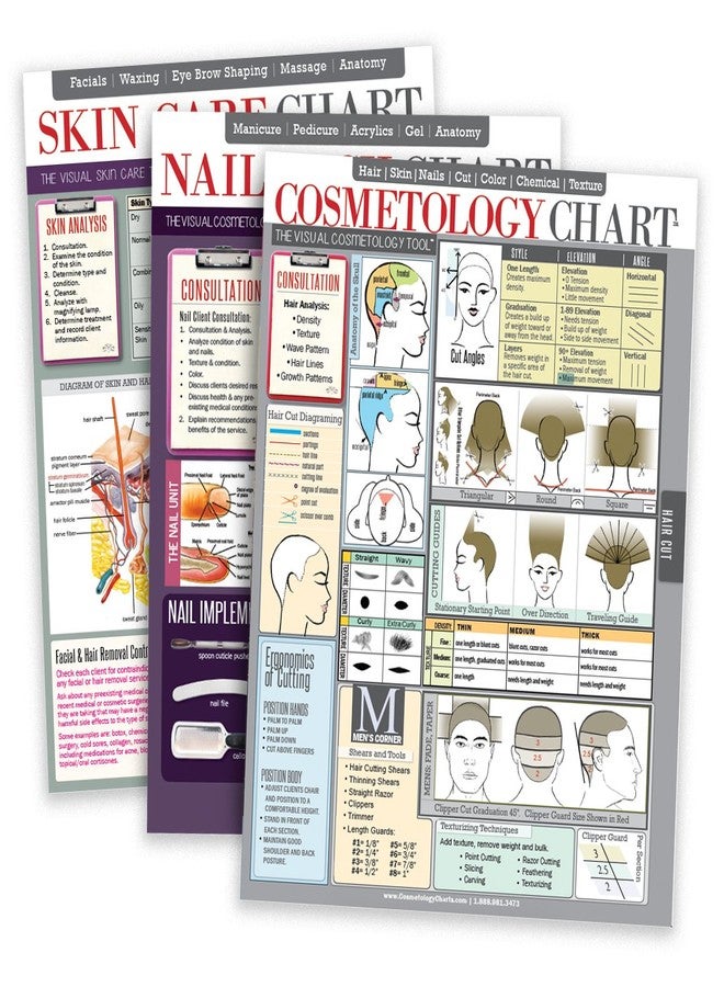 Ciao Bella Salon Charts Bundle | Includes One Salon Cosmetology Chart ...