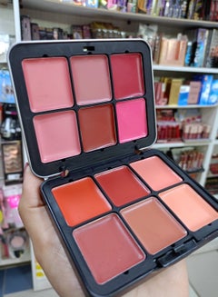 Ministar Ultra HD Palette Blusher - 12 Colors Egypt | Cairo, Giza