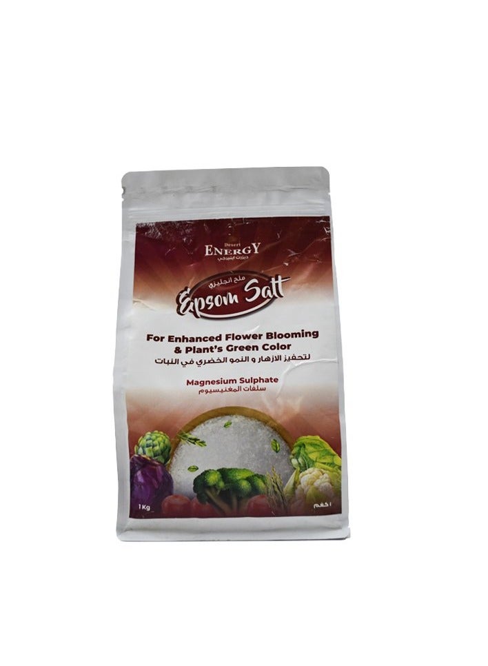 KNP Epsom Salt - 1kg | Best Price Qatar | Doha