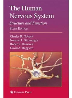 The Human Nervous System: Structure and Function Egypt | Cairo, Giza