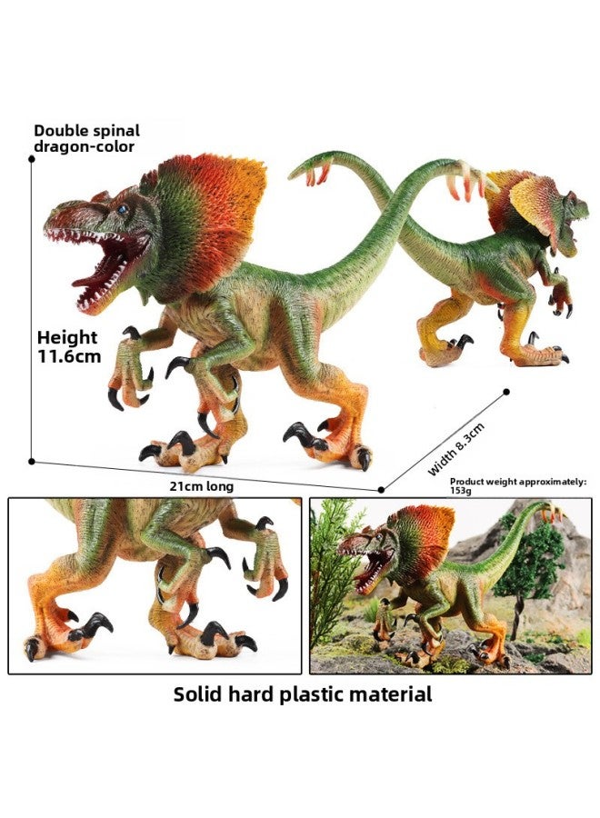 Generic Children's Cognitive Jurassic Toy Tyrannosaurus Rex Chinese ...