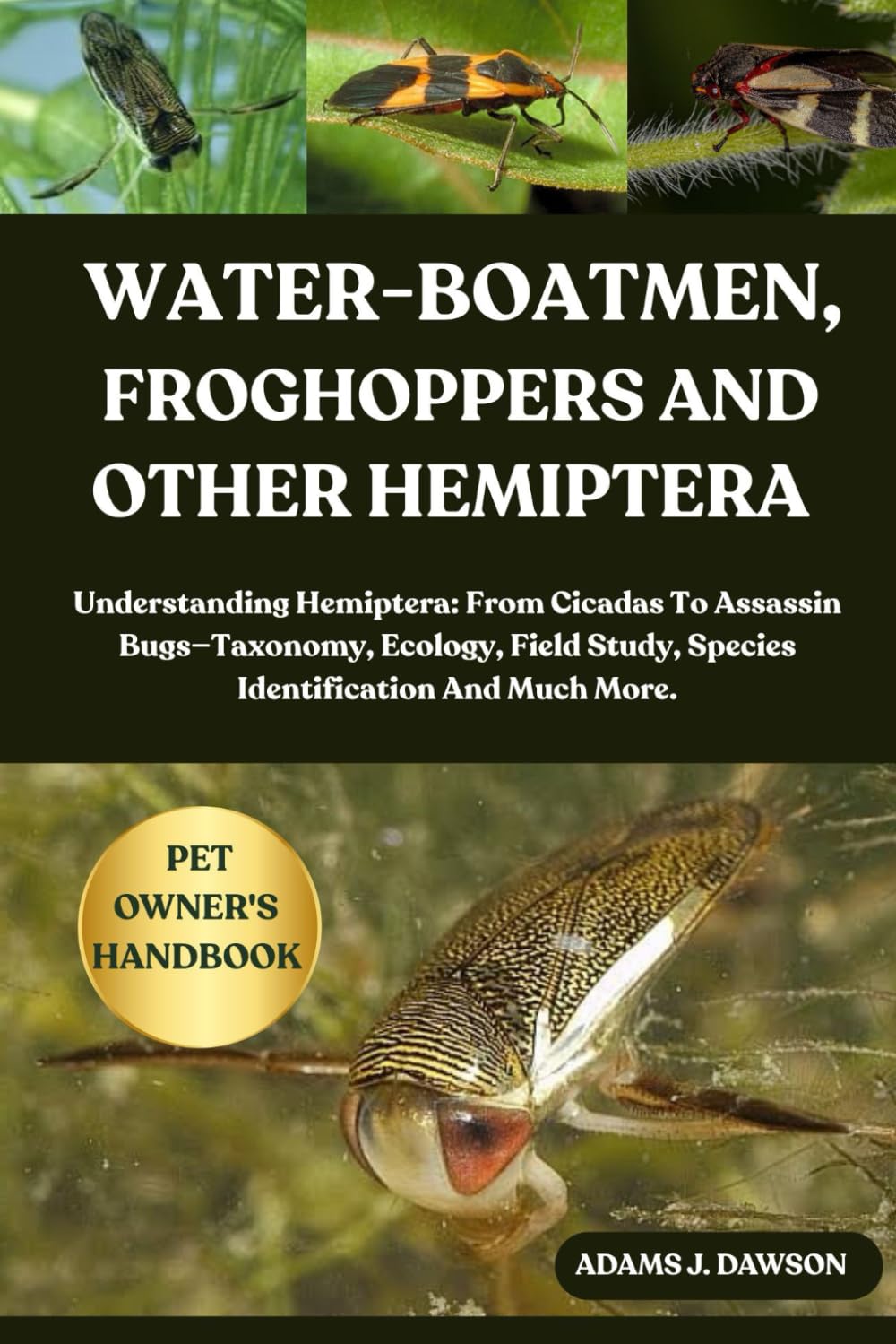 WATER-BOATMEN, FROGHOPPERS AND OTHER HEMIPTERA: Understanding Hemiptera ...