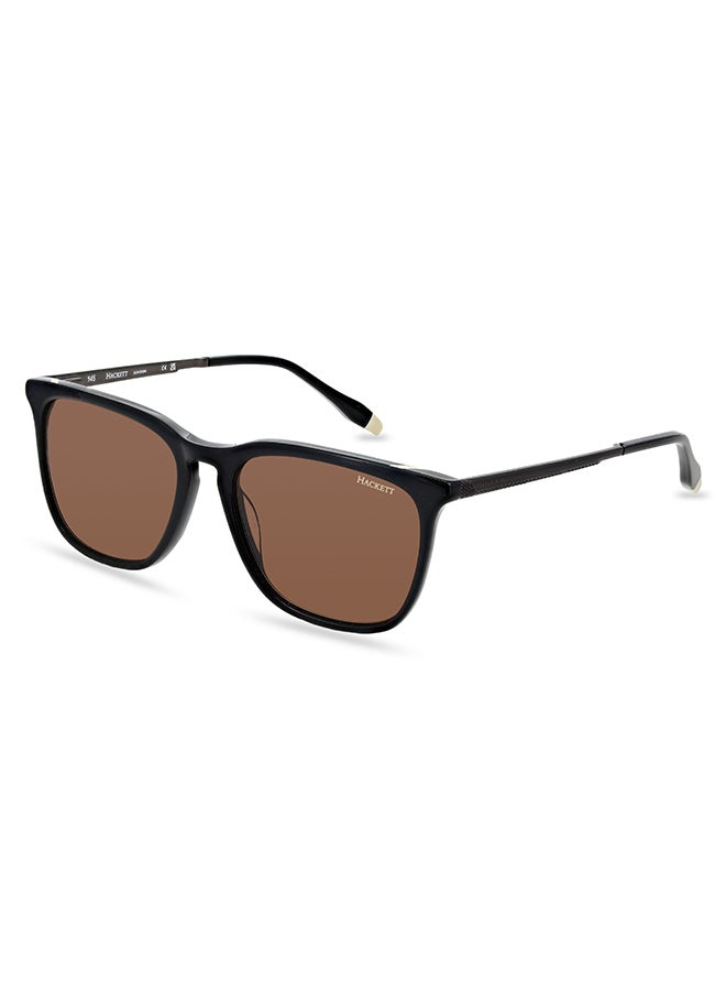 Hackett Men's Sunglasses - HSK1146 - Lens Size: 54 Mm | Best Price KSA ...