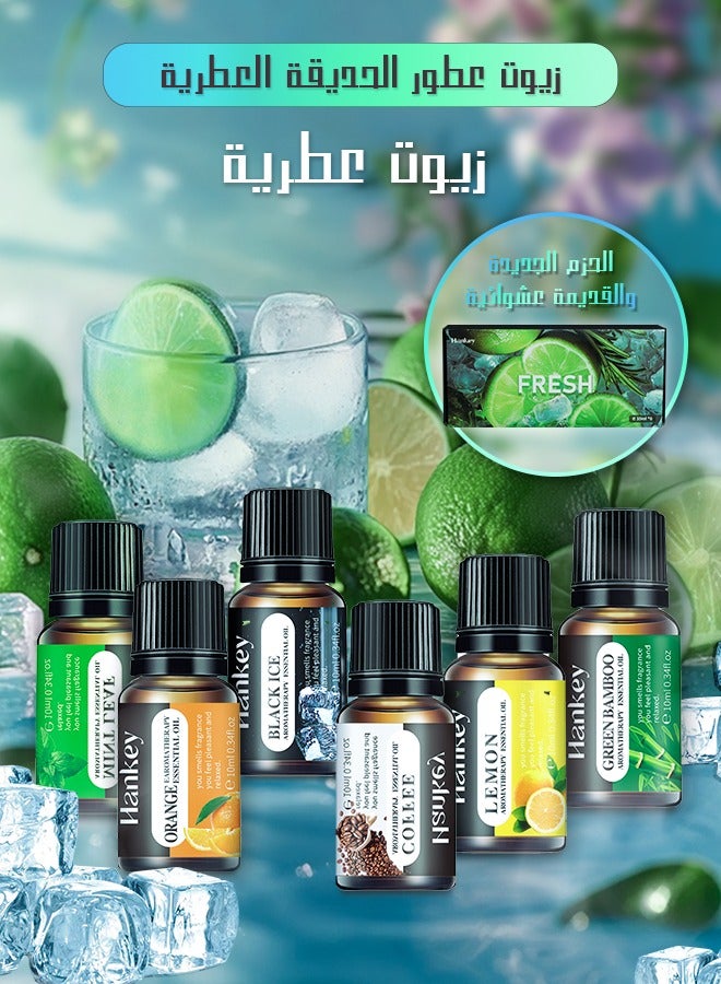 HANKEY Essential Oils 6 Blends Set, Perfect for Humidifiers and ...