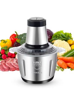 TEGRILO Electric Meat Grinder, 2 Speeds 300W Food Chopper, 2L Multi-Function Stainless Steel ...