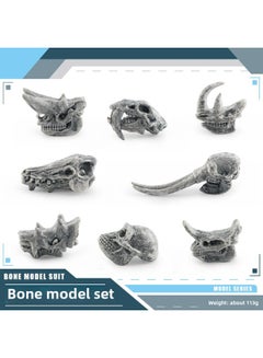 Generic Realistic Small Animal Model Toys Growth Life Cycle Frogs ...