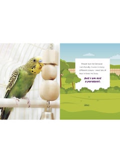 I Am Not a Dog: Pet Animals | Best Price UAE | Dubai, Abu Dhabi