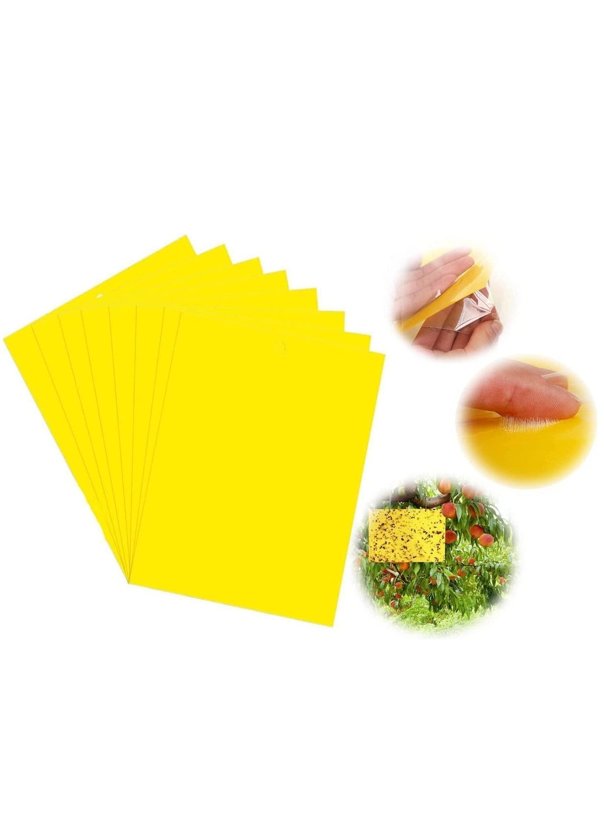 RATSAW 20 Pcs Yellow Sticky Fly Traps Fly Paper Stickers Sticky Fly ...