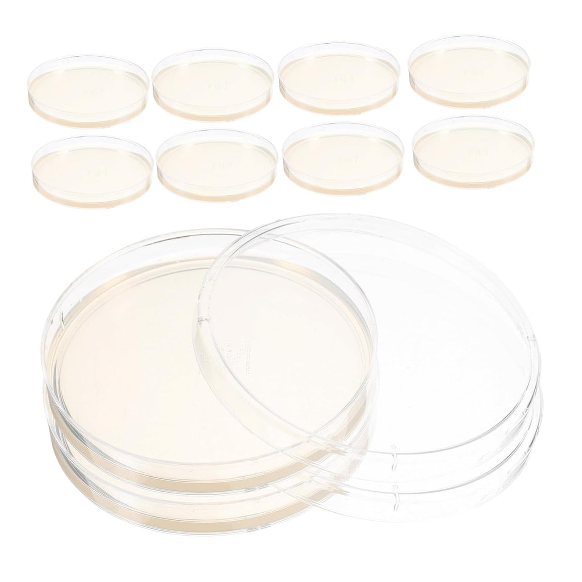 Generic Pre Poured Agar Plates Petri Dishes 10pcs Lab Experiment ...