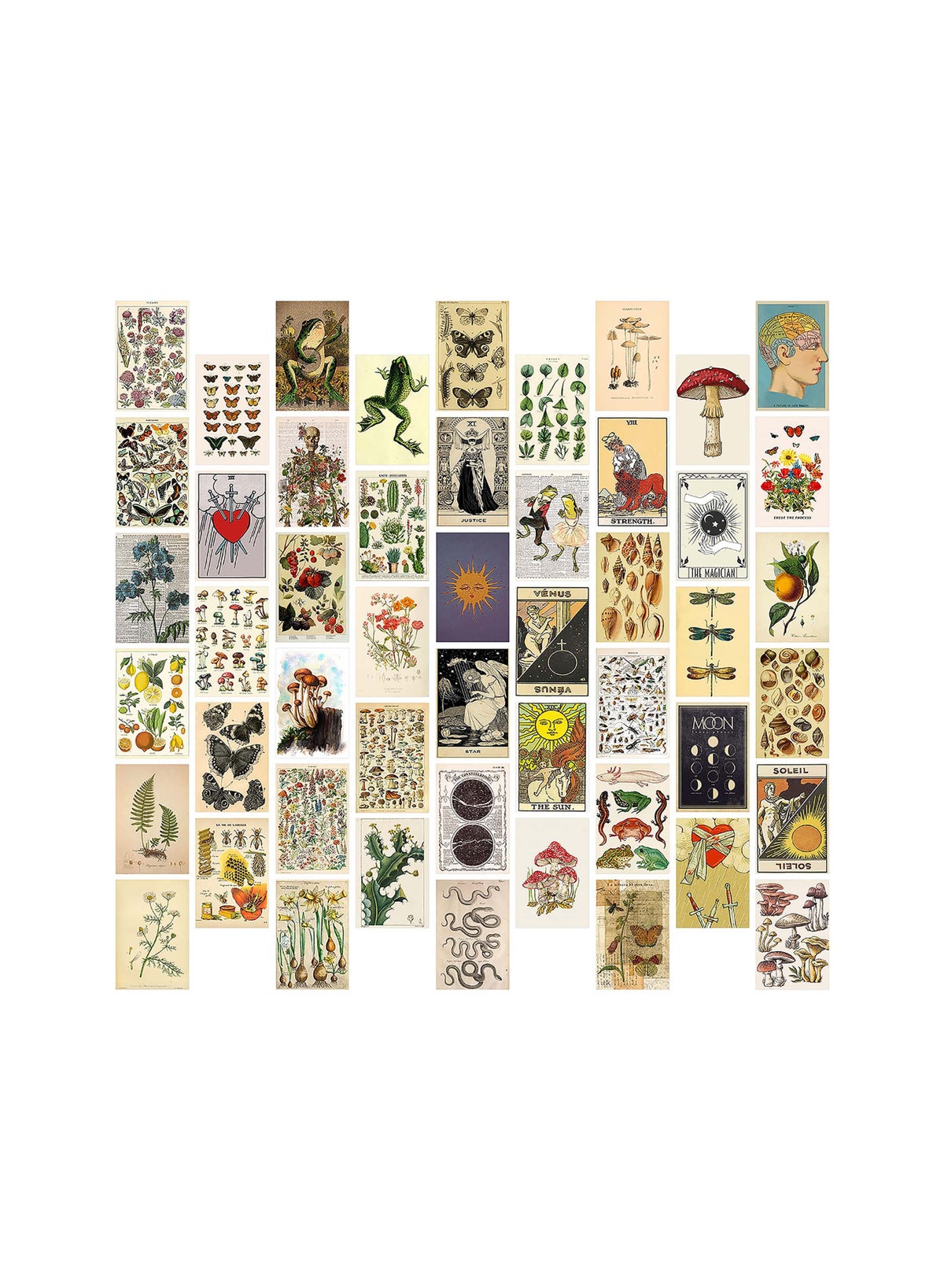 SYOSI Vintage Wall Collage Kit, Botanical Wall Collage Cards, Trendy ...