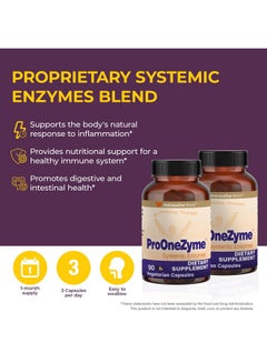 WellnessOne ProOneZyme Systemic Proteolytic Enzymes Supplement ...