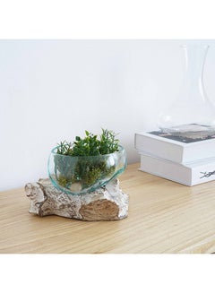 Pan Home Thy Wood And Glass Terrarium 20x20x15cm White Egypt | Cairo, Giza