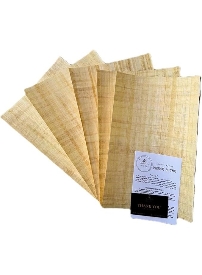 Generic Set of 5 Natural Egyptian Papyrus Paper Organic No chemical ...
