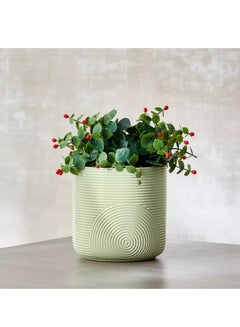 Home Box Garden Pot 13 cm KSA | Riyadh, Jeddah