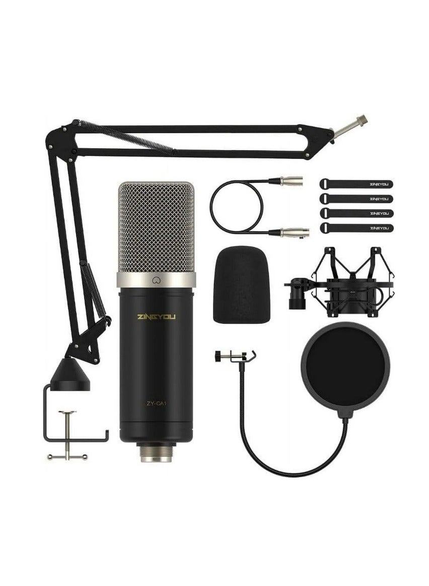 ZINGYOU ZINGYOU ZY-CA1 XLR Condenser Cardioid Microphone Kit with ...
