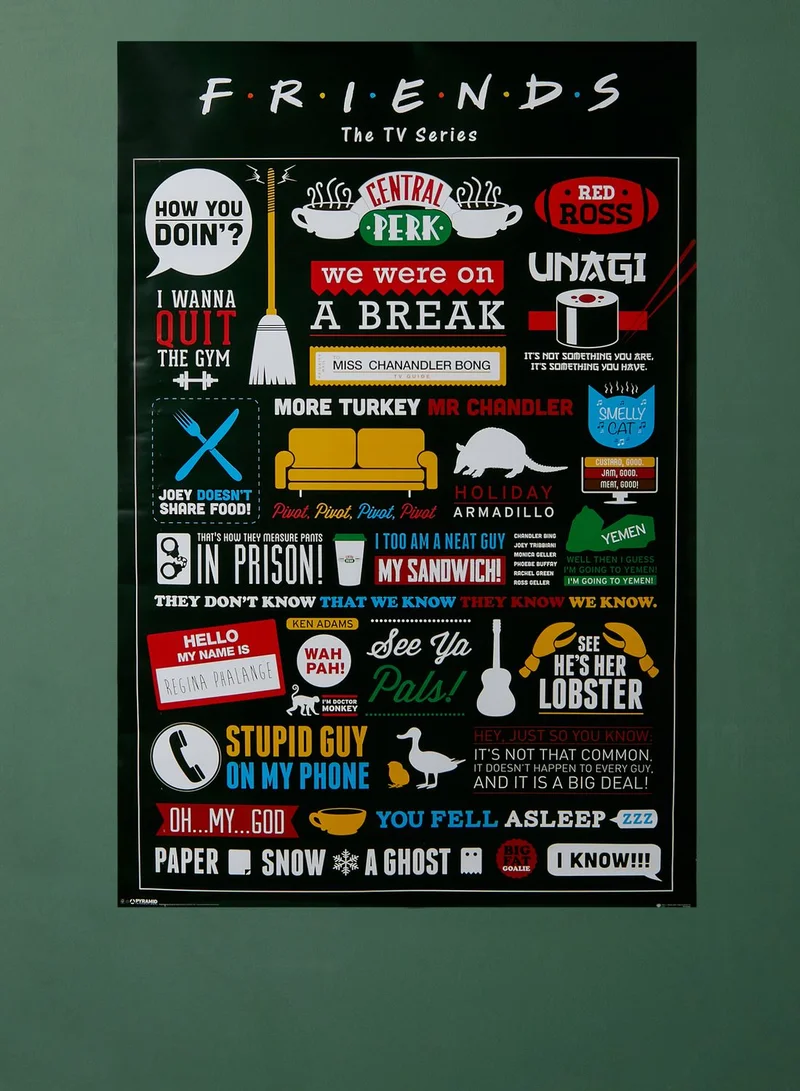 Friends Friends Infographic Maxi Poster | Best Price UAE