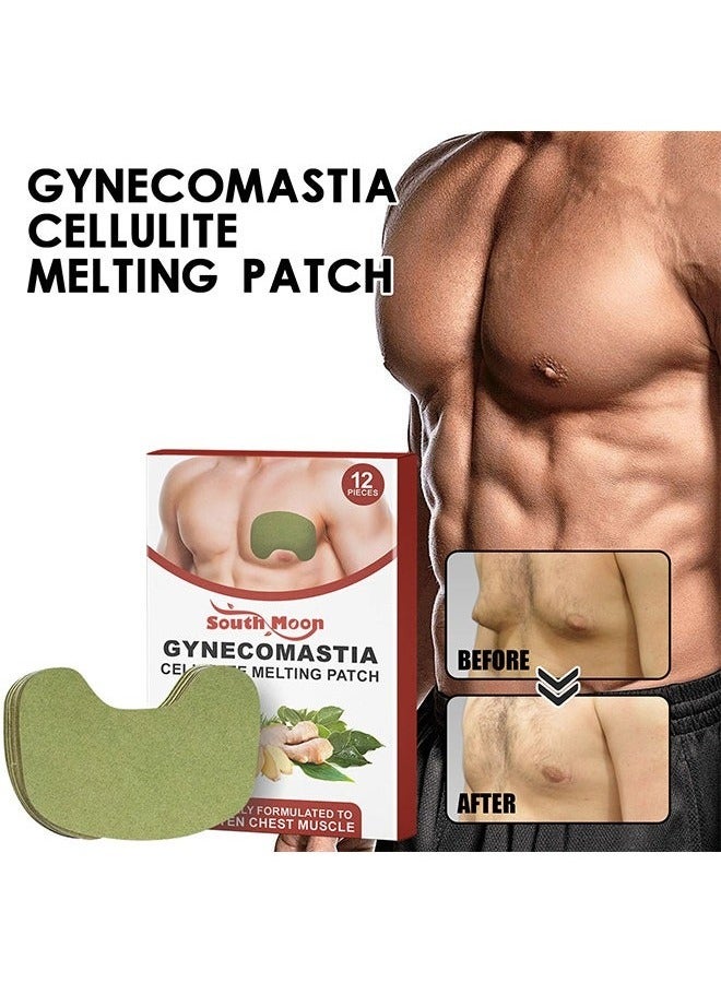 SOUTH MOON 12 Pieces Gynecomastia Plasters for Men, Turmeric Max ...