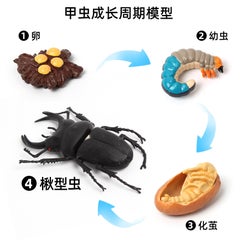 Generic Cross-border simulation insect model solid beetle Naruto insect ...