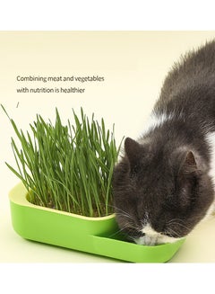 DMG TECH Cat Grass, New Potted Wheat Seed for Cat Grass Cultivation ...