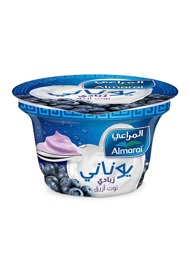 Buy Almarai Blueberry Greek Style Yogurt Online | 15 Minutes Instant ...