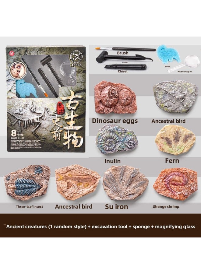 Generic Archaeological Museum Blind Box Excavation Paleontology Oracle ...