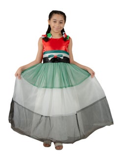 D'Daniela Aisha UAE National Day Flag Dress | Best Price UAE | Dubai ...