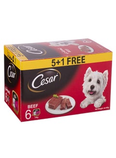 Cesar Caesar Beef Wet Dog Food 6 x 100g | Best Price UAE | Dubai, Abu Dhabi