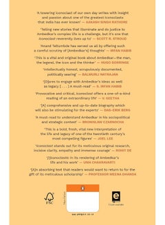 Viking Iconoclast: A Reflective Biography of Dr Babasaheb Ambedkar ...