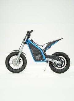 Torrot Electric Bike for Kids | Made in Europe | for Age 6-10 ...