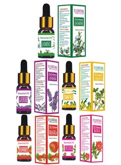 fashionhome 5 Pieces Humidifier Oil Bottles | Best Price UAE | Dubai ...