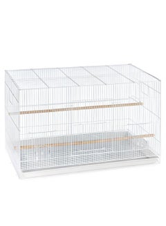 Generic Bird Cage KSA | Riyadh, Jeddah