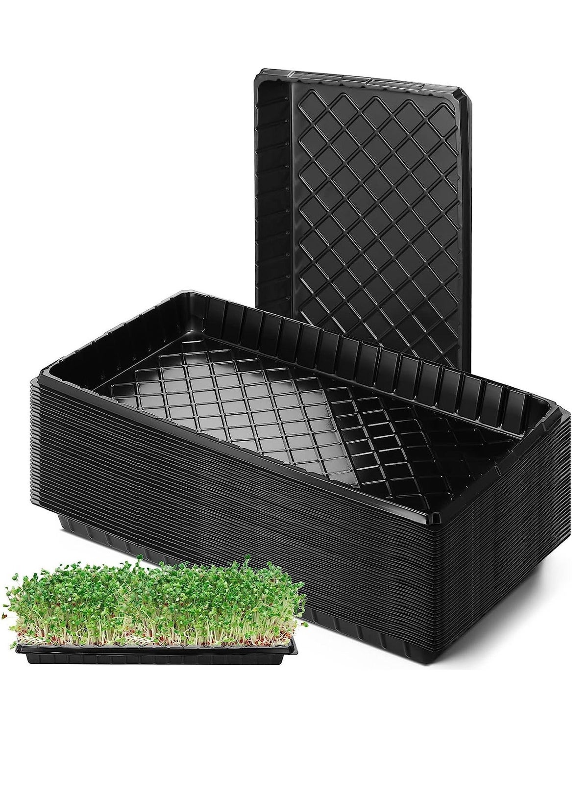 Generic 10 Pieces Plant Growing Trays Garden Seed Starter Grow Trays ...