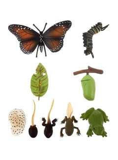 Y&D Insect Life Cycle Figures 2 Sets, Figurines of a Monarch Butterfly ...