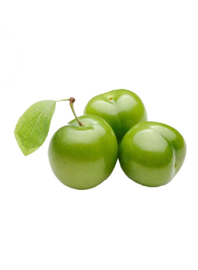 Buy Plums Green Janarek GCC Online | 15 Minutes Instant Delivery ...