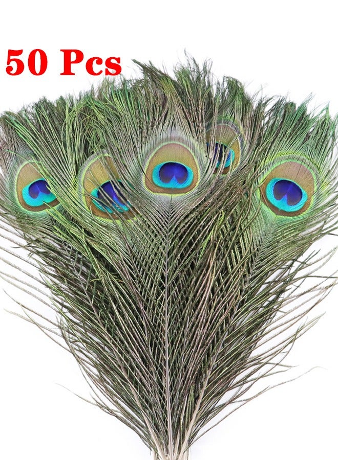 Generic Natural Peacock Feathers, 10 to 12-Inch Eyed Peacock Tail ...