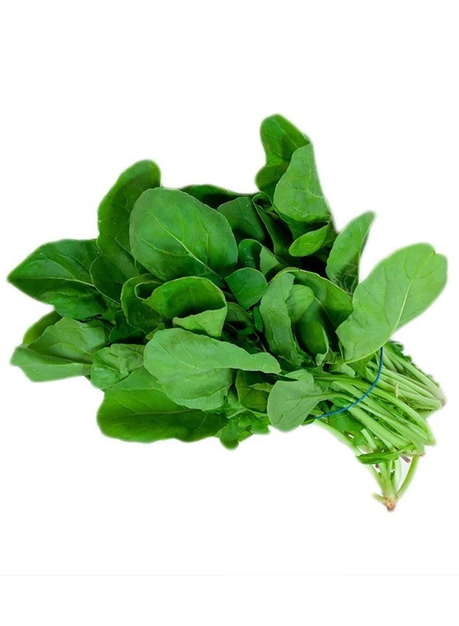Buy Arugula Jerjer Leaves Online | 15 Minutes Instant Delivery ...