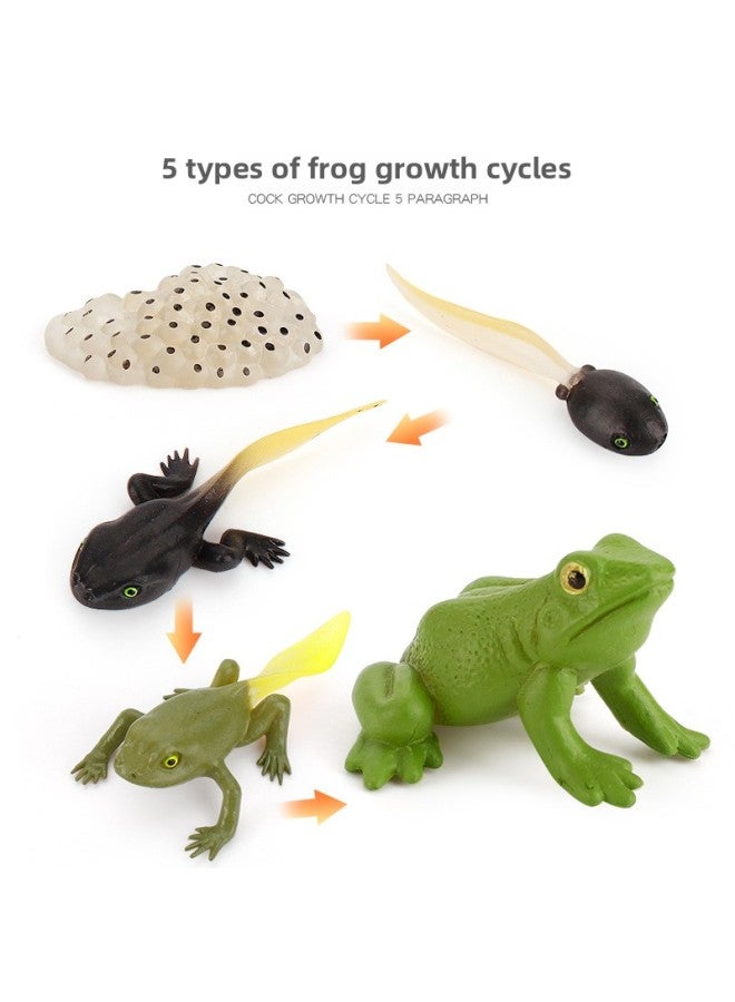 Generic Early Education Cognitive Toys Solid Animal Models Realistic ...