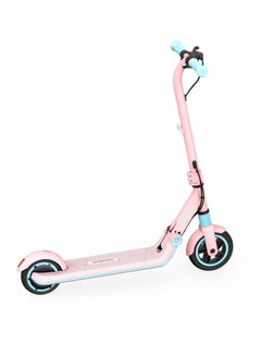 SEGWAY Segway Ninebot eKickScooter ZING E8 Electric Scooter (Pink) UAE ...