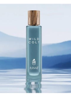 ASSAF Wild Colt 200 ml Eau de Parfum | Best Price KSA | Riyadh, Jeddah
