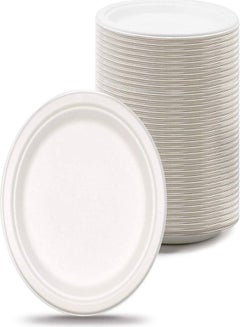 Generic Bagasse Biodegradable Plate 10 Inch Made From Sugarcane Plates ...