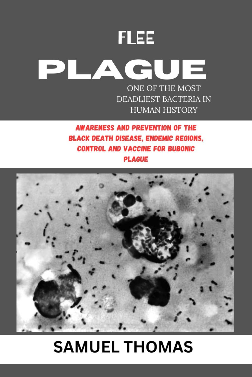 FLEE PLAGUE ONE OF THE MOST DEADLIEST BACTERIA IN HUMAN HISTORY ...