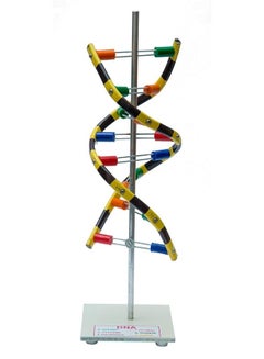 Generic Asian Scientific DNA Model ON Stand Demonstration Project ...
