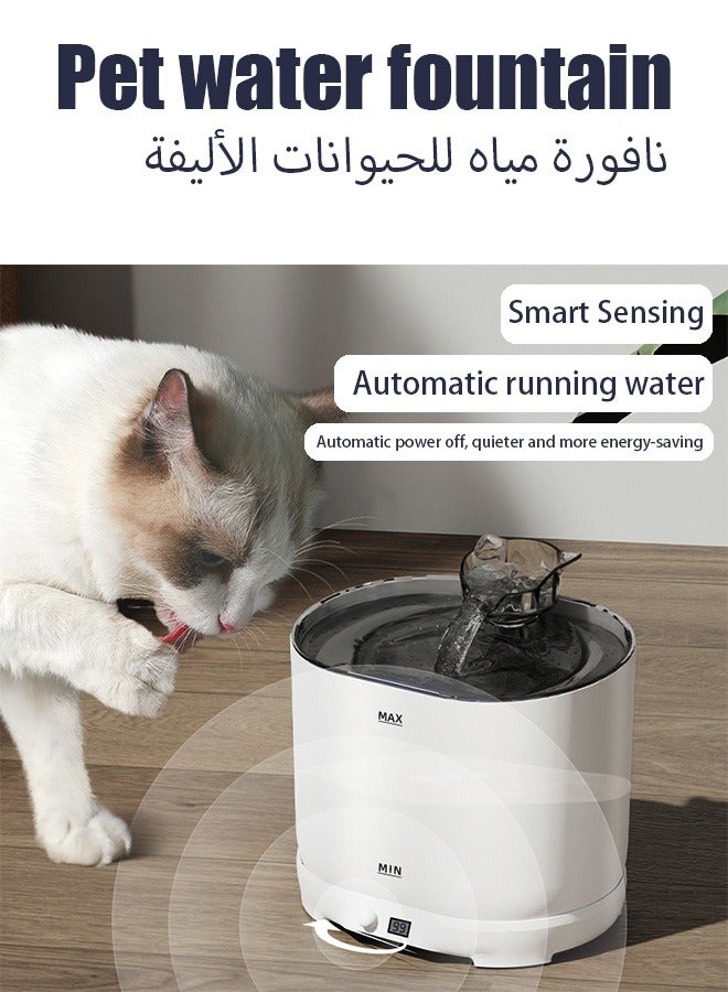 Generic Pet Water Fountain, Automatic Water Drinking Fountain, 2.2L ...