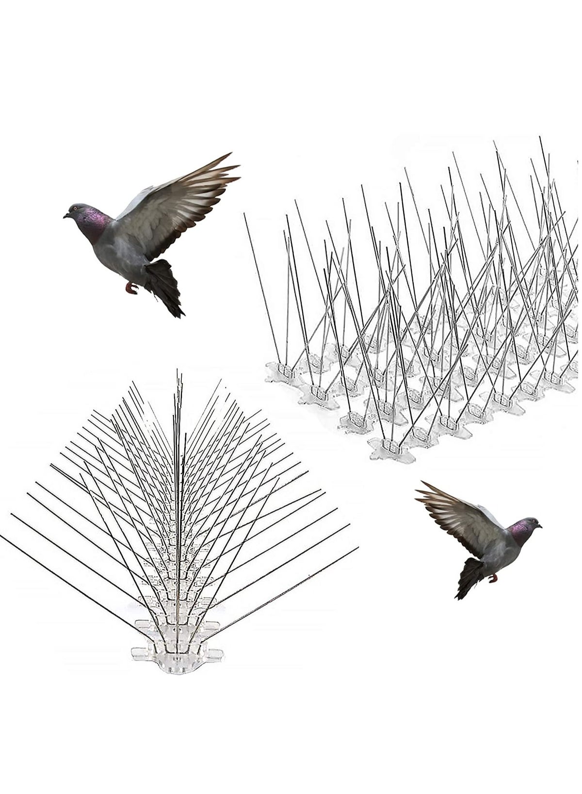 RACO Five Pin Stainless Steel Bird Spikes Deterrent Spikes Repellent ...
