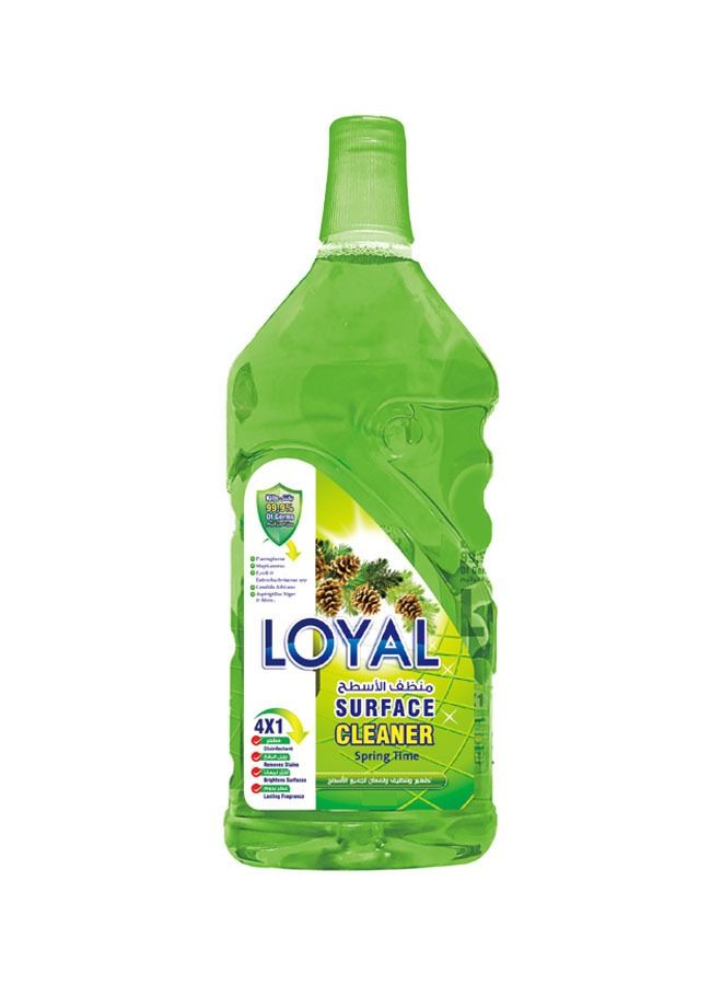 loyal Surface Cleaner Liquid/Spring Time/Green/800ml/Pack of 1 | Best ...
