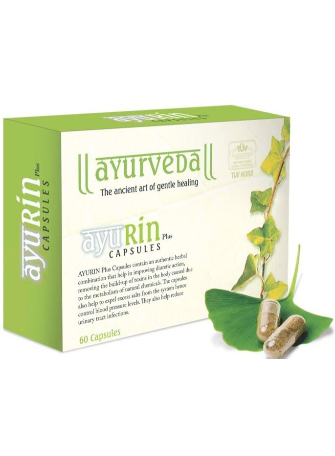 Welex Ayurin Plus Capsules 60's | Best Price UAE | Dubai, Abu Dhabi