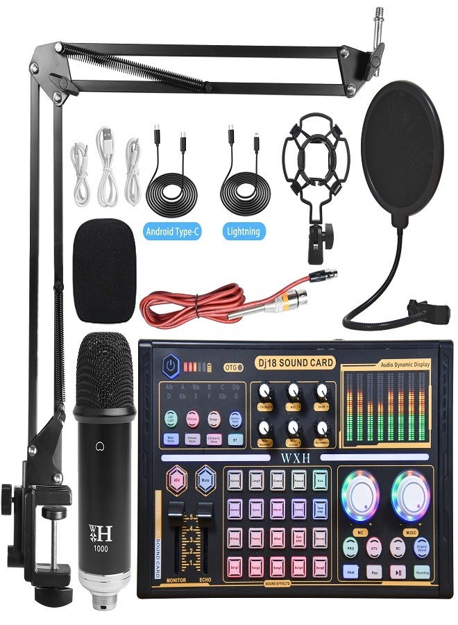 Sunbmebge Live Sound Cards Condenser Microphone Set Streaming Audio ...