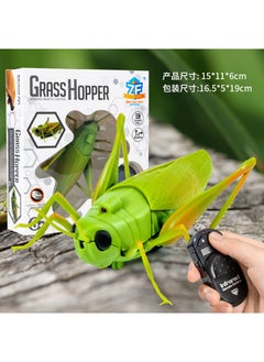 Generic Remote Control Prank Snake Spider Toy 7705 remote control ...